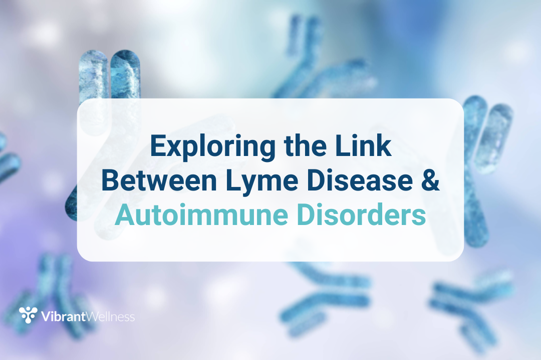 Exploring the Link Between Lyme Disease and Autoimmune Disorders Exploring the Link Between Lyme Disease and Autoimmune Disorders